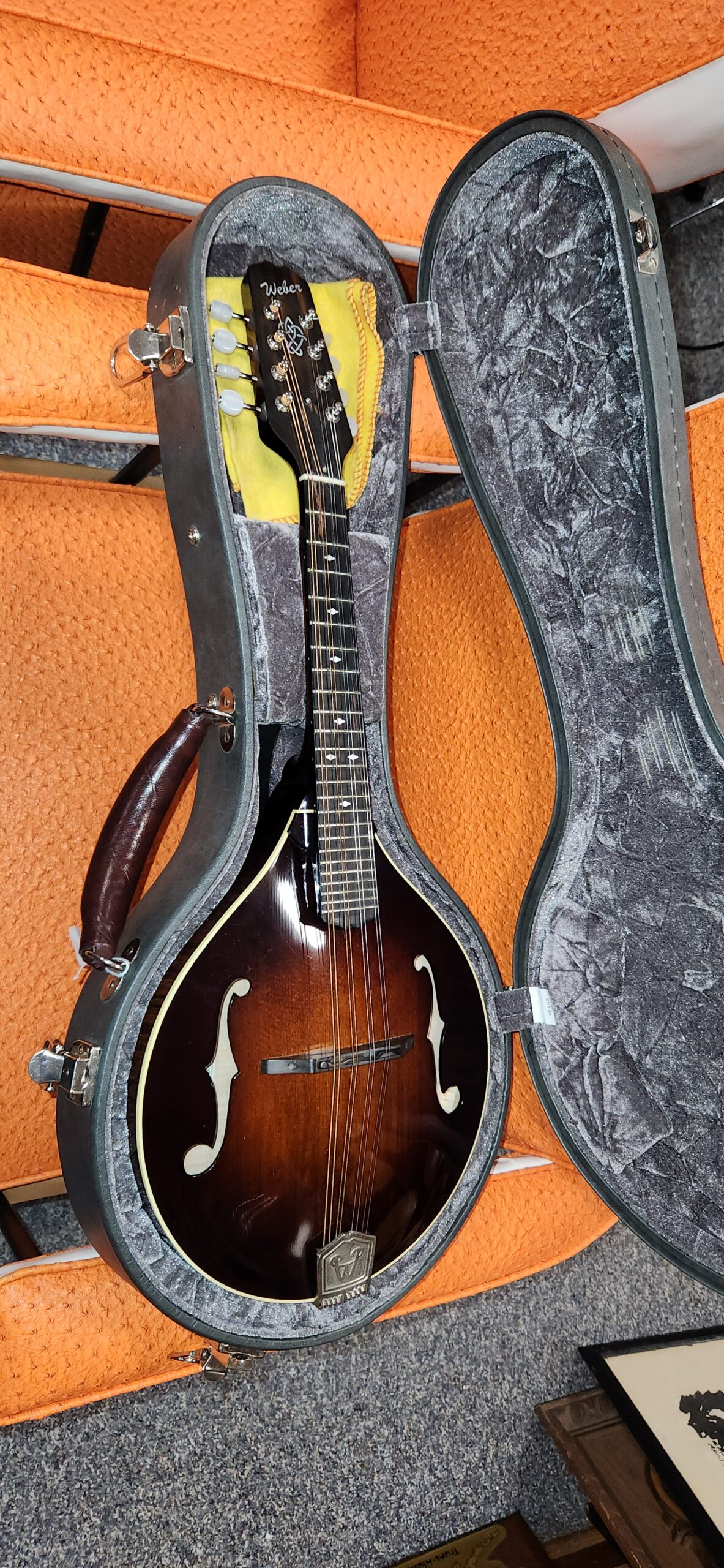 Bruce Weber, Bitterroot Mandolin 2010 a Real Beauty - WEST GUITAR CENTER